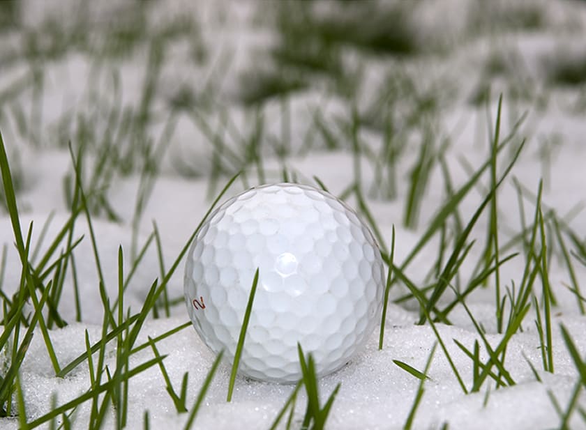 What are the Winter Rules for Golf?
